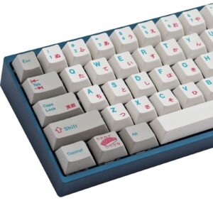 hyekit pbt keycaps 124 keys sushi custom keycaps dye-sublimation 7u and 6.25u spacebar keycap set cherry profile for cherry gateron mx switches mechanical keyboard us layouts