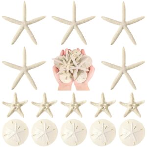 queekay 15 pieces resin starfish sand dollars 2.0 inch starfish 4.7 inch starfish 2.3 inch sand dollars crafts ocean themed glittered coastal decorations for christmas wedding party decor supplies