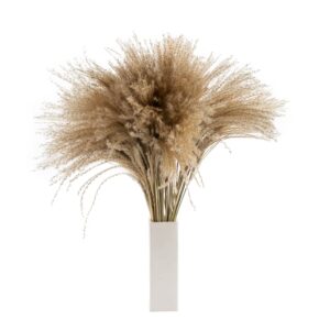 leuee 60pcs natural dried flowers pampas grass phragmites communis bouquet dried reed grass plumes dried flowers for wedding vase indoor home garden party arrangements art craft