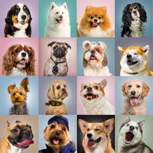 100 piece jigsaw puzzles funny dogs puzzles for kids ages 4-8 8-10,jigsaw puzzle for toddlers 3-5 years old, kids puzzles ages 6-8, developmental toys for children, birthday gifts for boys girls