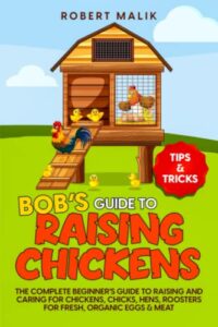 bob's guide to raising chickens: the complete beginner's guide to raising and caring for chickens, chicks, hens, roosters for fresh, organic eggs & meat