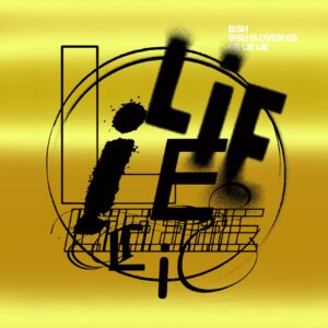 lie lie lie(cd)