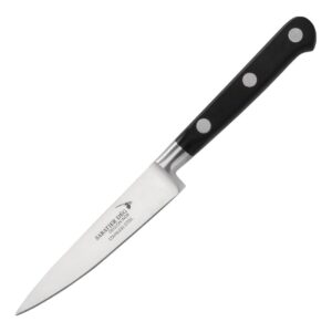 deglon cuisine ideale paring knife, 4-inch