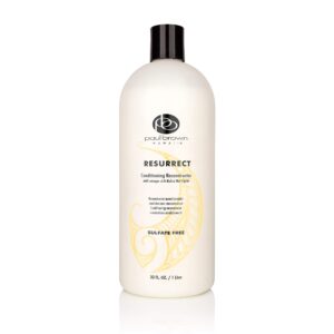 paul brown hawaii resurrect salon quality conditioner | hydrate & treat damaged hair | antioxidant-rich kukui nut oil for ultimate hair moisturization | safe for color treated hair (33 oz.)