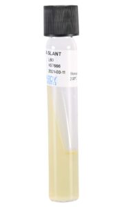 tryptic soy agar (tsa) slant, general growth medium, 16x100mm glass tube, order by the package of 20, by hardy diagnostics