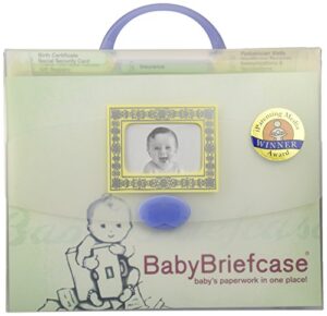 baby briefcase baby paperwork organizer, mint/periwinkle