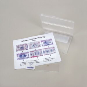 discovering onion mitosis self-study unit, microscope slide set