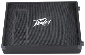 peavey pv 15m 2-way floor monitor