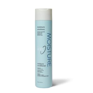 ion moisture conditioner, moisturizing treatment, vegan, paraben free, hydrating, reduces breakage