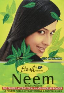 neem powder 100gram by hesh