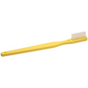 starsmilez oversized demonstration toothbrush