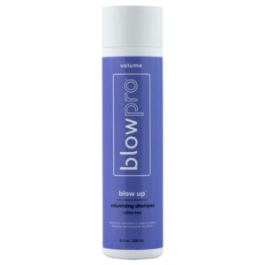 blowpro blow up daily volumizing shampoo - sulfate-free clarifying formula - with keratin - add volume, texture and body to limp, thin hair - remove oil & restore moisture - 8 oz