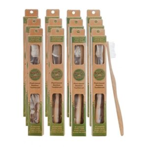 plant-based bamboo toothbrush - adult size (pack of 12)