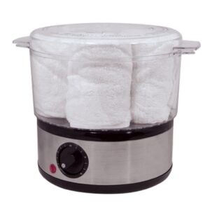 fantasea towel steamer