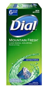 dial antibacterial bar soap, mountain fresh, 3.2 ounce, 6 bars