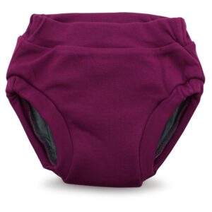 kanga care ecoposh obv reusable pull up toddler underwear potty training pants | boysenberry medium 2t/3t