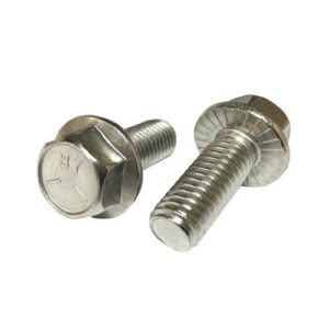 (6) 3/8-16x1 stainless steel hex serrated flange screws flange bolts 304