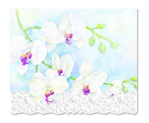 carol wilson fine arts inc.- white orchid - embossed & die cut blank note cards in portfolio box - 10 count - ncp2213