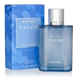 valor by dana 3.4 oz eau de toilette spray for men