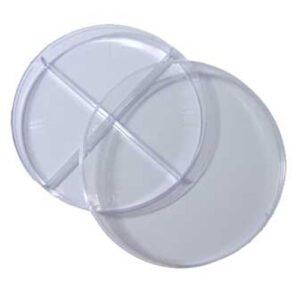 petri dish 100 x 15mm pack of 20 with 4 sections