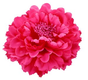 hair flower clips brooch boutique hair accessories bohemia hairpins for women girls (rose)