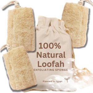 all natural loofah sponge, pack of 3 real egyptian bath & shower exfoliating loofa scrubber sponges for face, back & body, eco friendly, no toxic chemicals, 6" x 6" by crafts of egypt