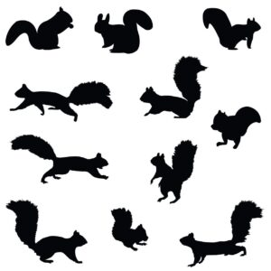 innovative stencils squirrel wall decal nursery sticker set add to tree wall decals decor for kids rooms #1250 (12 squirrel decals included) (matte black)