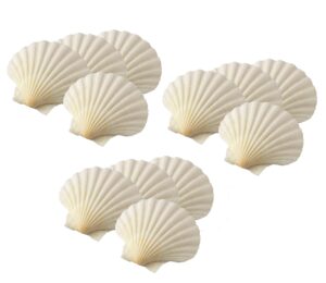 maine man natural baking shells, 4-inches, set of 12