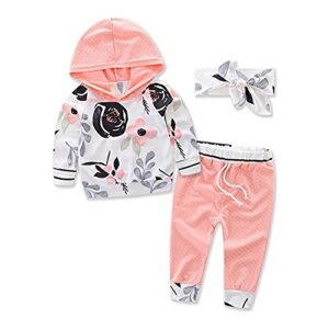 askwind baby girls floral hoodie+ floral pant set leggings 2 piece outfits (12-18 months, pink)