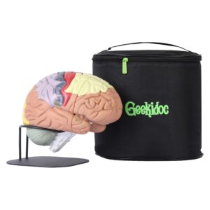 geekidoc human brain model with laser-engraved numbers and labeling | includes sturdy metal stand, lightweight carrying case and magnetic dissections | 2x life-size human brain anatomy model