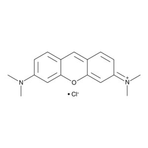 cayman chemical 14488-5 pyronin y, 5g