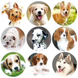 dog stickers puppy sticker 200 pcs for kids party favor envelope seal stickers classroom reward stickers