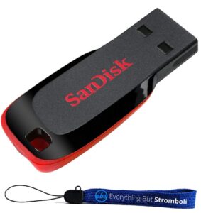 sandisk cruzer blade usb 2.0 flash drive sdcz50-016g-b35 jump drive with everything but stromboli (tm) lanyard