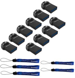 sandisk 16gb ultra fit usb 3.1 low-profile flash drive (10 pack bundle) sdcz430-016g-g46 pen drive with (5) everything but stromboli (tm) lanyard