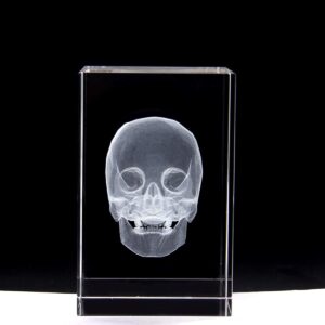 3d human skull anatomical anatomy model paperweight(laser etched) in crystal glass cube science gift (no included led base)(3.1x2x2 inch)