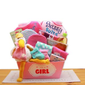 a special delivery new baby girl gift basket, new baby gift for girl, baby girl gift.