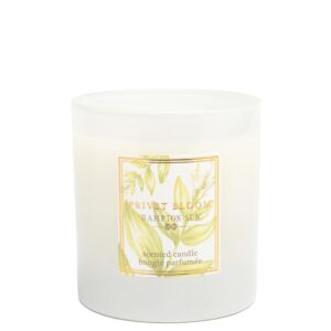 hampton sun privet bloom candle, crisp, clean, white floral scent reminiscent of summer in the hamptons, white hyacinth, sea spray, lily of the valley, dune grass + jasmine, modern elegance white glass candle