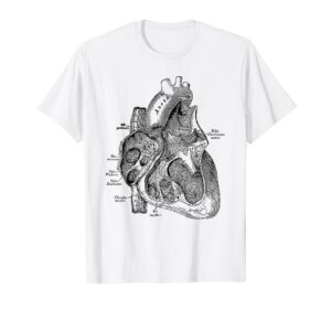 right chamber of the human heart anatomy tee t-shirt t-shirt