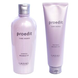 lebel proedit care works hair shampoo 300ml & hair ttreatment 250ml set - bounce fit