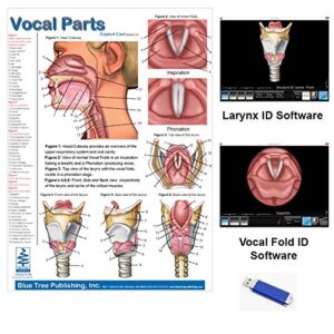 vocal parts, pharynx & larynx anatomical chart with software larynx and vocal fold id speech language pathology, slp, singing