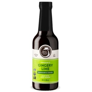 big tree farms organic coco aminos - liquid coconut aminos, soy-free sauce, low sodium, soy alternative, gluten free, kosher, marinade & sauce, non-gmo - gingery lime, 10 fl oz (pack of 1)