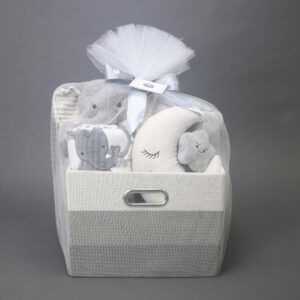 lambs & ivy gray 5-piece baby gift basket for baby shower/newborn welcome home