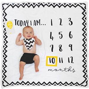 loolibird baby monthly milestone blanket - 8 milestone cards number frame in a gift box - fleece baby month blanket for baby pictures - baby milestone blanket girl or boy