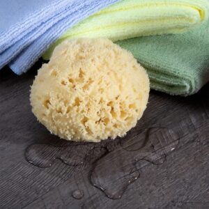 neptune natural sea wool sponge - all natural honeycomb renewable sea sponge, medium, approx. 4 inches