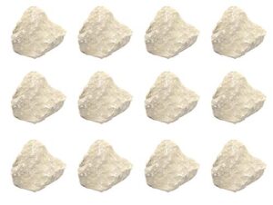 eisco 12pk raw limestone chalk, sedimentary rock specimens - approx. 1" - geologist selected & hand processed - great for science classrooms - class pack labs