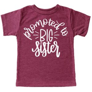 olive loves apple promoted to big sister colorful announcement t-shirt for baby and toddler girls sibling outfits vintage burgundy shirt