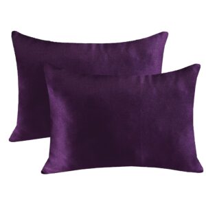 ehp super soft & silky 2 piece satin toddler pillowcases, zipper closure, travel and nursery pillowcases (13" x 18", purple)