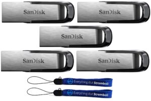 sandisk 256gb ultra flair usb 3.0 flash drive (bulk 5 pack) high speed memory pen drive (sdcz73-256g-g46) bundle with (2) everything but stromboli lanyard