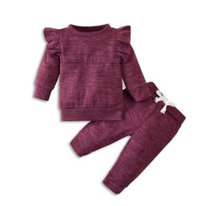 infant baby girls clothes ruffle t-shirt + pants fall winter outfits set purple