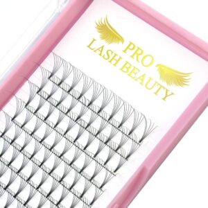 premade fans eyelash extensions 5d 3d 7d 8d 10d short stem premade volume eyelash extensions 3d 5d 7d volume lash extensions .07 .10 pre made lash fans c d curl 9-15 mix(5d-d-0.10,9-15mm)